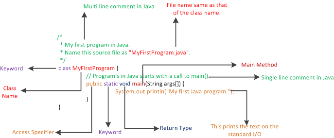 CodingBison- Introduction